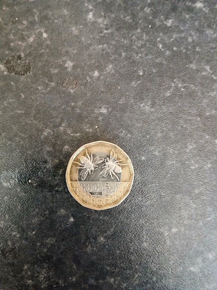 VERY RARE KING CHARLES THIRD BEES 2023 £1 POUND COIN, | eBay UK