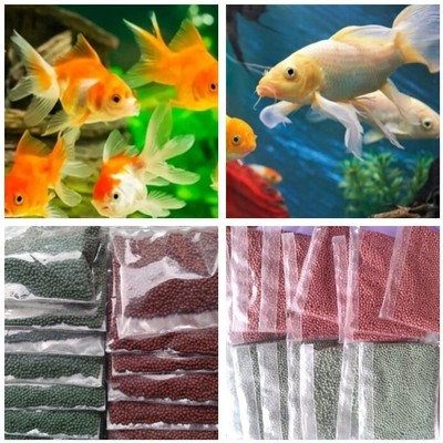 Fish food feed floting Pet fish farming | eBay