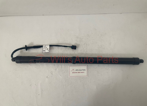 GENUINE NEW LIFTER ASSY TAILGATE LH SUITS KIA CARNIVAL 2015-2018 3.3L PETROL | eBay