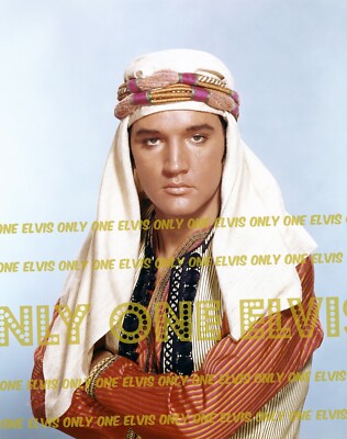 ELVIS PRESLEY in the Movies 1965 Photo HARUM SCARUM Stunning Studio ...