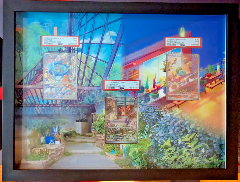 Pokémon Bulbasaur, Charmander, Squirtle IR PSA w/Custom Extended Art ...