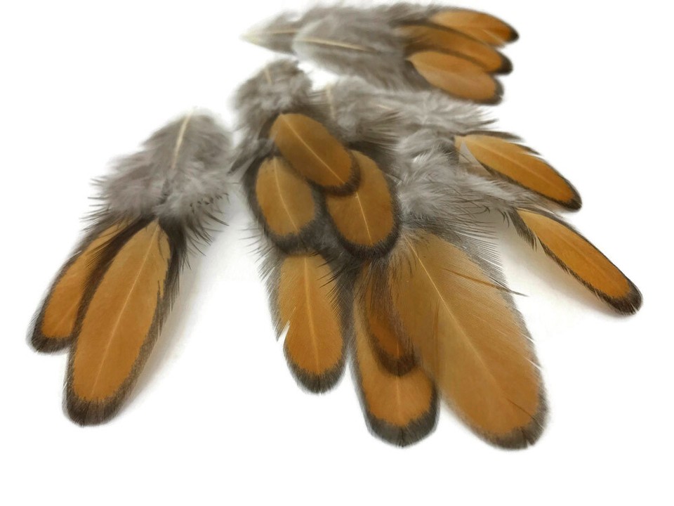 1 Dozen - Golden Brown Whiting Farms Laced Hen Saddle Feathers Fly ...