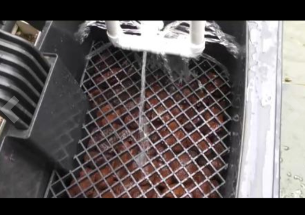 Volcanic Aquarium Lava Rocks Fish Tanks Pond Filters 6-9 CM / Bio ...