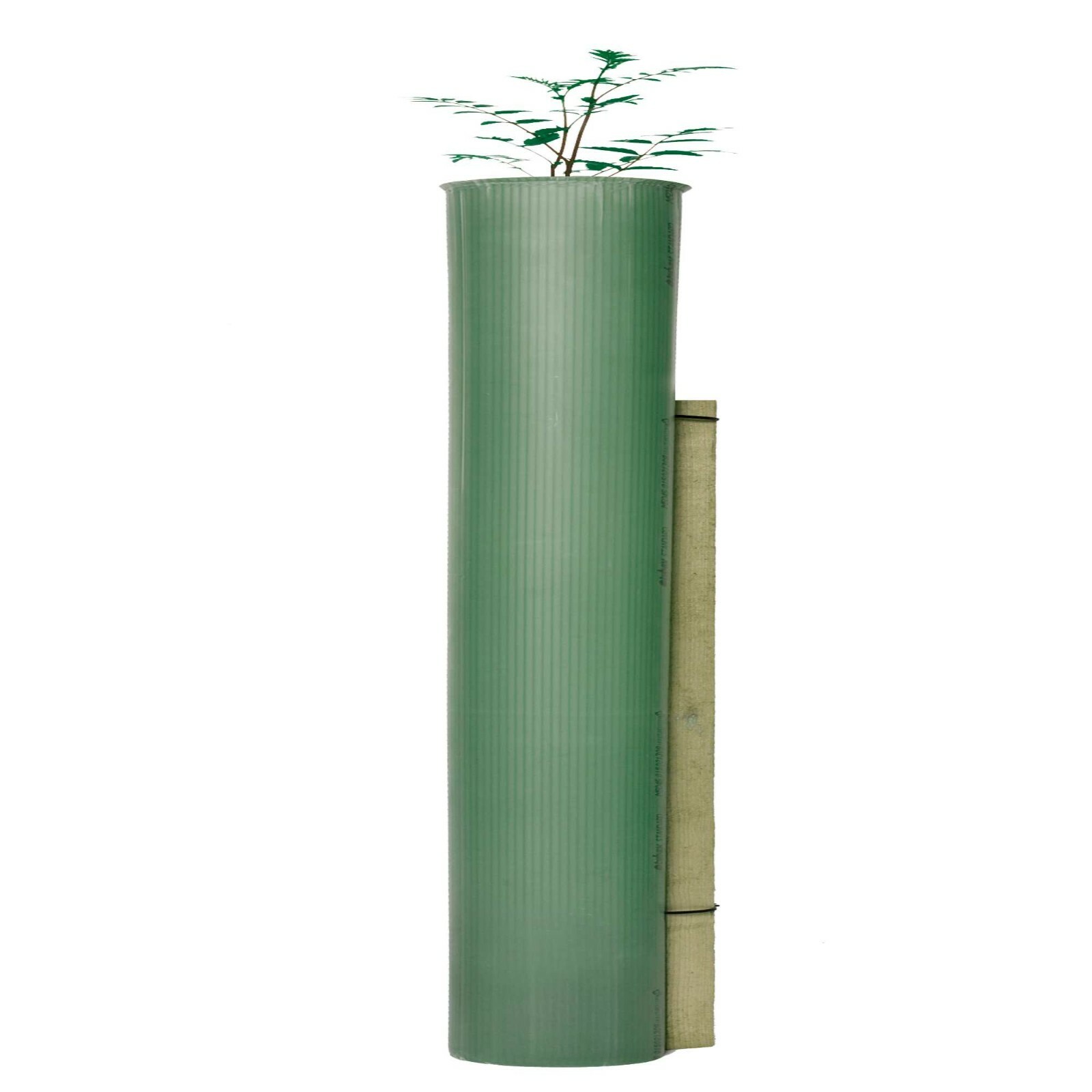 1.5m 5ft Tubex Tree Tube Standard Plus 80-120mm Deer Protection Guard ...