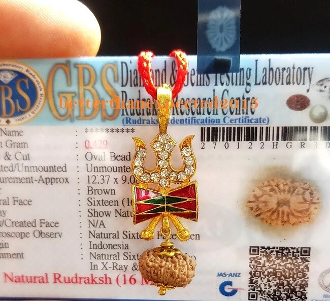 Rudraksha Logo