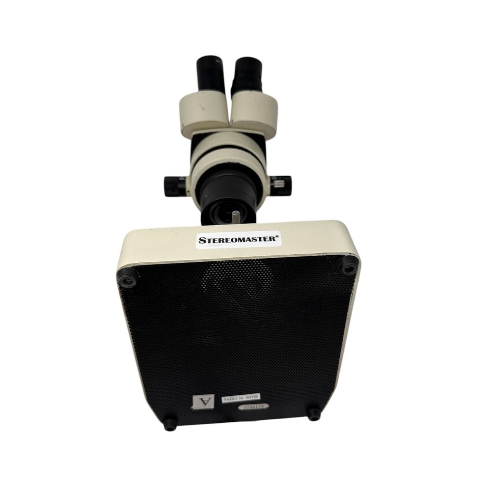 Fisher Scientific Stereomaster Stereo Microscope 10x WF Eyepieces Dual ...