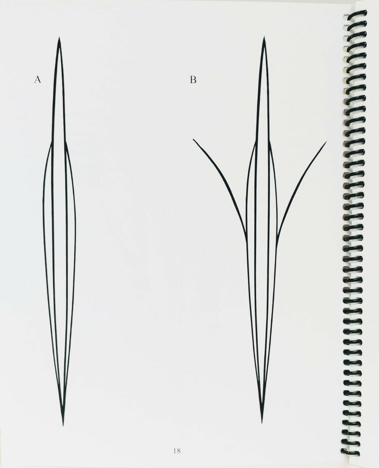 THE BOOK ON FREEHAND PINSTRIPING BY WATSON | eBay
