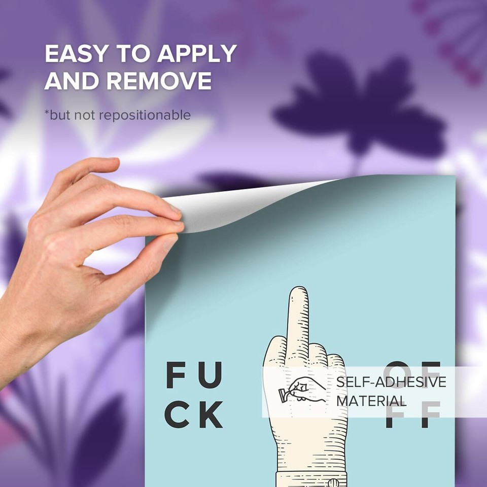 1 x Vinyl Sticker A5 - Rude Hand Gesture Office Joke #14571 | eBay