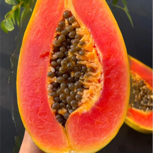 NiRwa 50pcs Red Heart Creamy Papaya Seeds - The Best of Papayas for ...