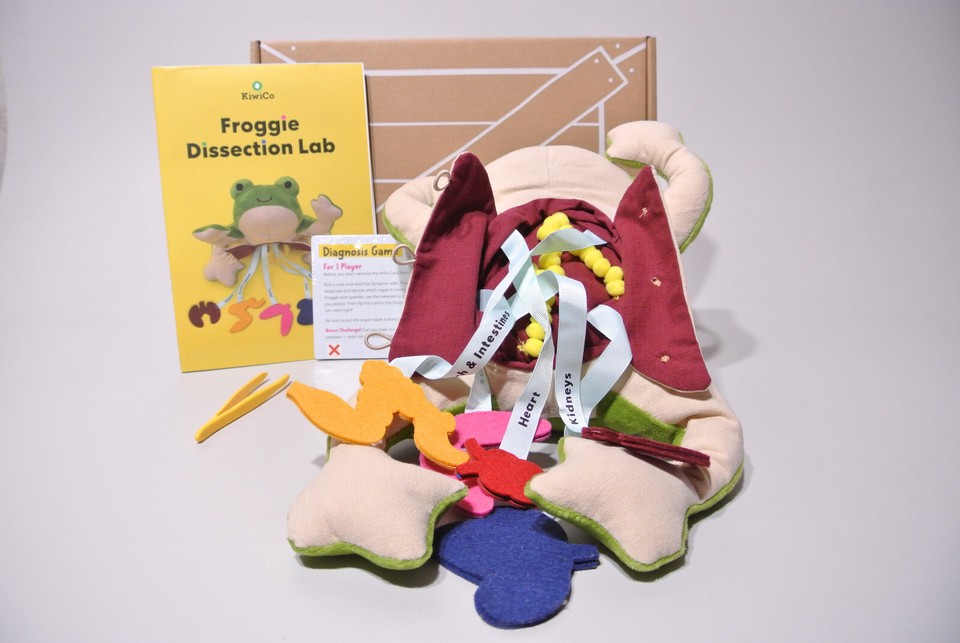 KiwiCo Froggie Lab Dissection Frog Science Plush Learning Toy Kit Ages ...