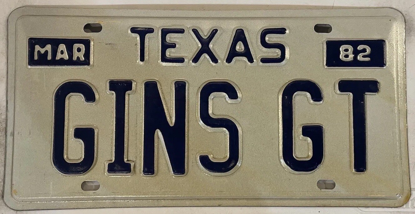 Vanity GIN S GT CAR license plate Ginger Gino Gina Ginelle Ginny Regina ...