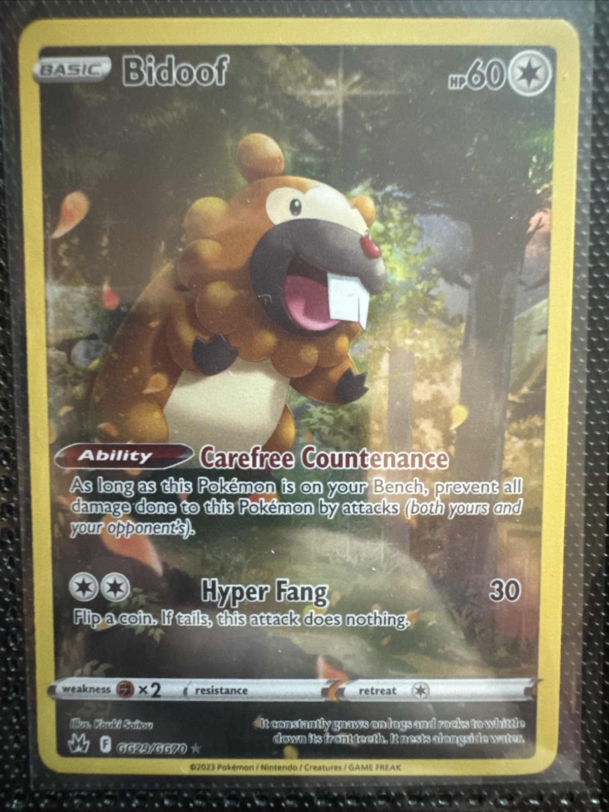 Bidoof GG29/GG70 Crown Zenith Ultra Rare Holo Pokemon TCG Card NM | eBay