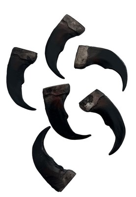 6 PC- 2 INCH SYNTHETIC GRIZZLY BEAR CLAW brown bears resin animal claws ...