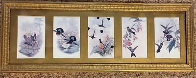 Goldtone Wood Matted 9X25" Frame with 5 Hummingbird Prints | eBay