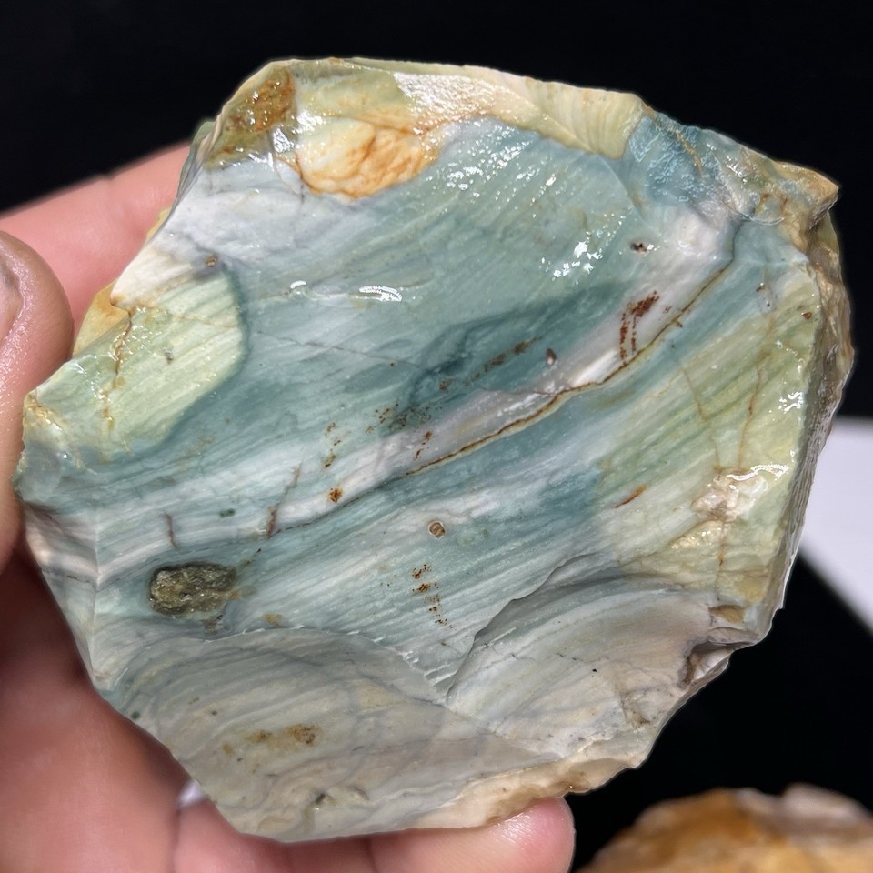 1lb 7oz Gary Green Jasper, Larsonite, Caldera Lapidary Rough For ...