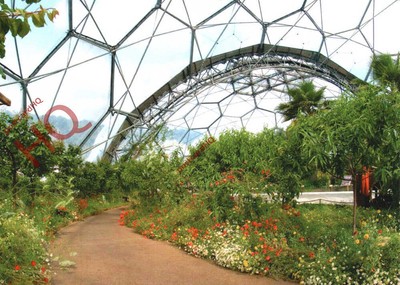 Picture Postcard; The Eden Project | eBay UK
