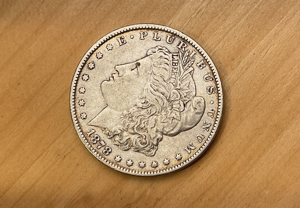 1878-P Morgan Silver Dollar #3041 Known as Chicken Loaf, Very-Fine Lady ...