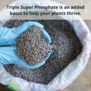 TRIPLE SUPER PHOSPHATE FERTILIZER 0-46-0 | phosphorus fertilizer for ...