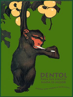 6166.Dentol Monkey toothpaste Poster.Dentist office Wall Art interior ...