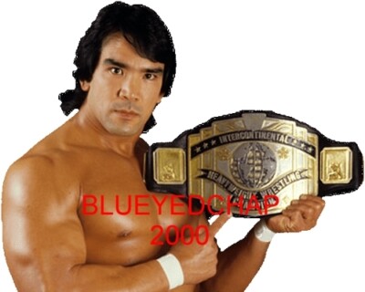 RICKY STEAMBOAT WRESTLER 8 X 10 WRESTLNG PHOTO NWA WWF WCW | eBay