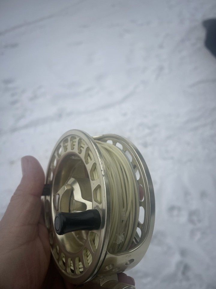 Sage Gold 6080 Saltwater Fly Reel With Bonefish Line And Backing | eBay