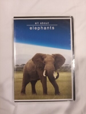 All About Elephants DVD Sealed | eBay