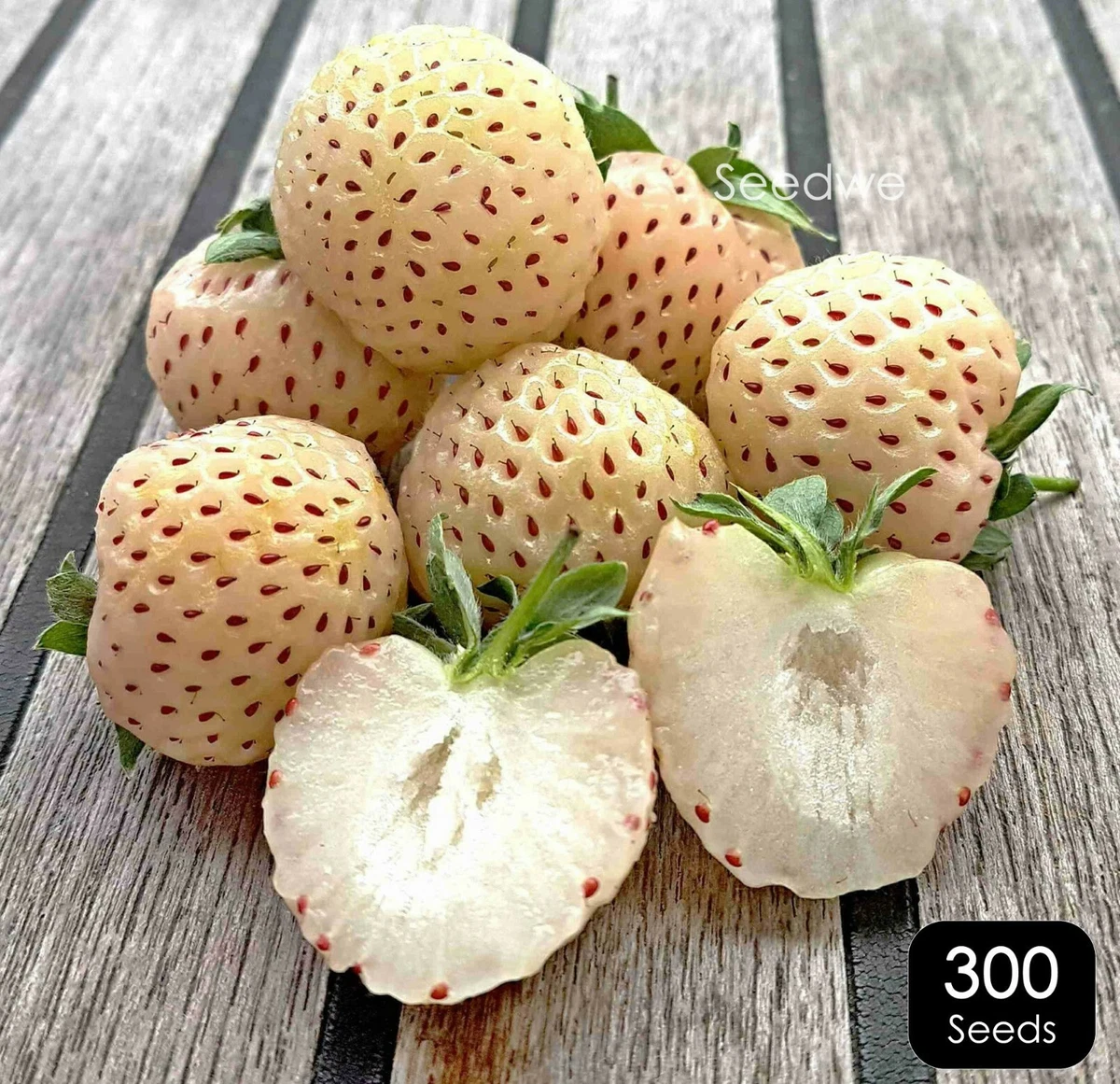 White Alpine Strawberries