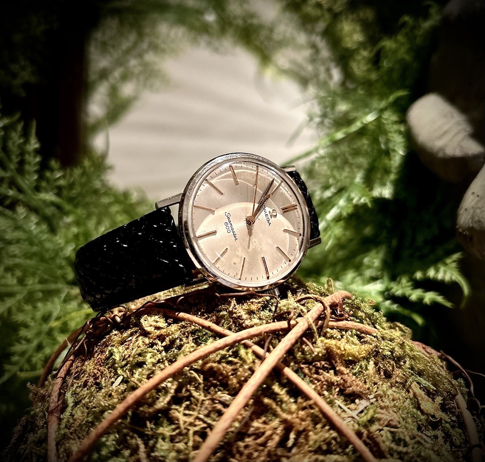 Vintage OMEGA Seamaster 600 Men's Watch - Cal 601 - Gem