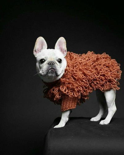 Max Bone Womens Brown Curly Knit Dog Sweater Size M L129109 | eBay