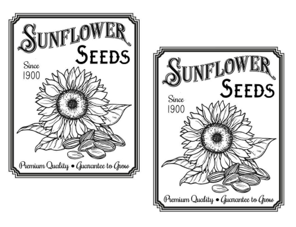 Vintage Image Sunflower, Seeds, Farmhouse, Primitive, Waterslide Decals ...
