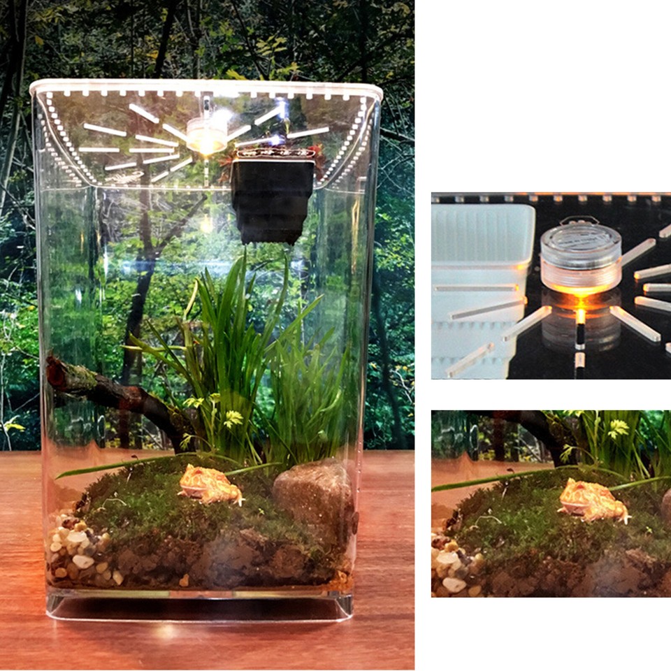 Acrylic Reptile Enclosure Cage Lizard Frog Pet Snake Terrarium Lives ...