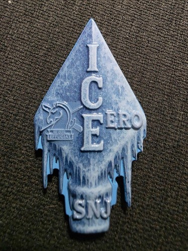 ICE ERO SNU Law Enforcement Challenge Coin Morale Patch FBI DEA ATF HSI ...