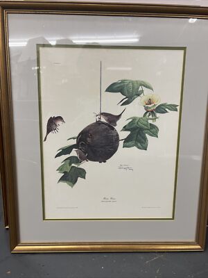 Ray Harm framed print. House Wren | eBay