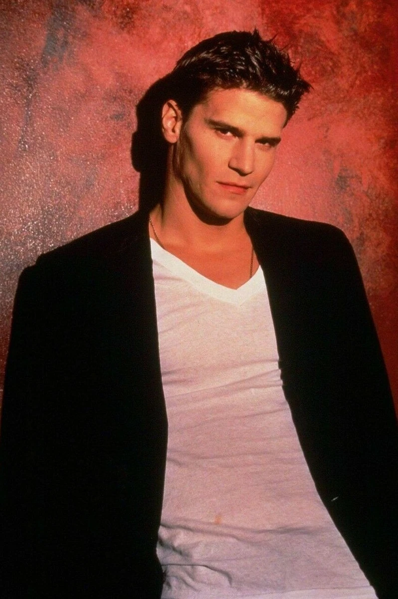 David Boreanaz Bones