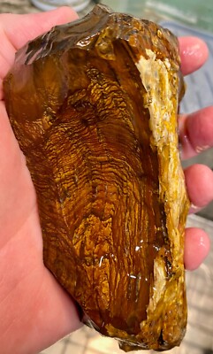 Amazing 1970's Old Stock Biggs Jasper Rough (Oregon) 624g | eBay