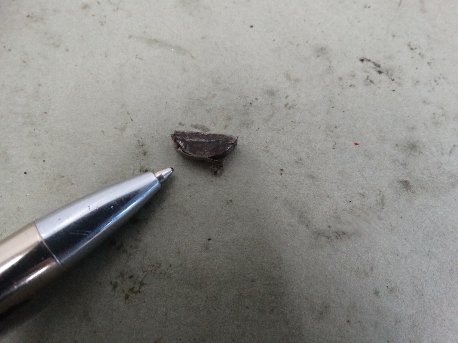 Yamaha Blaster YFS 200 flywheel key B311 | eBay