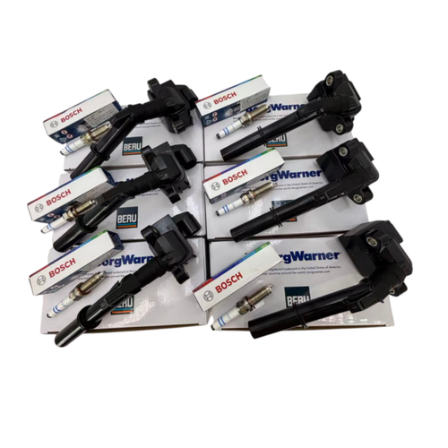 OEM Ignition Coil Beru & Spark Plug Double Iridium Bosch (6sets) for ...