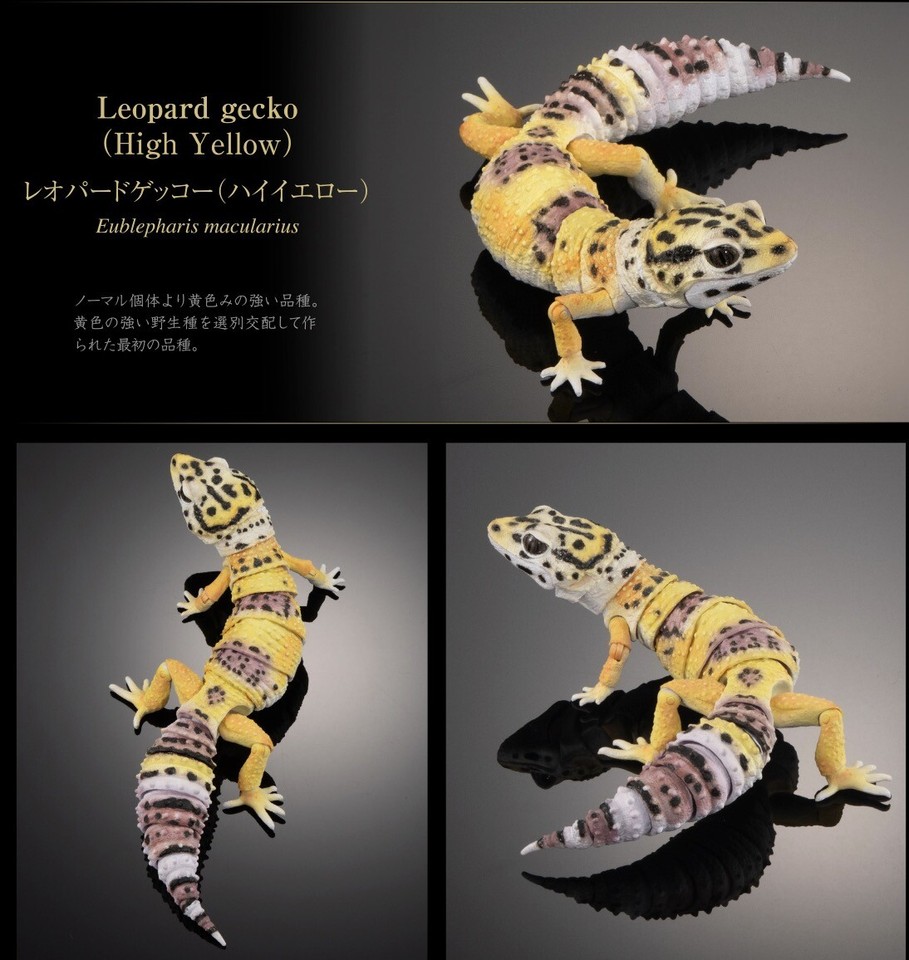 Bandai Gashapon Gecko SELECTED EDITON Action Figure Armadillo Lizard ...