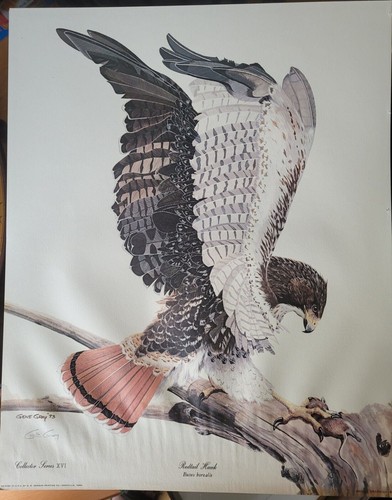 Gene Gray Signed Print "A Hawk Story" 22" X 16” 1973 - with Original ...