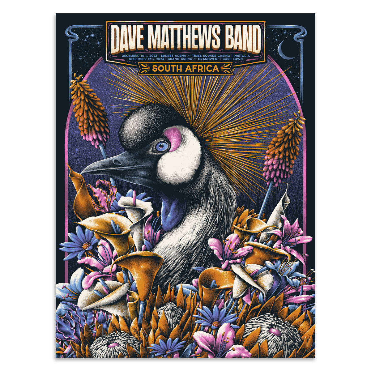 Dave Matthews Band South Africa Poster DMB 2023 Methane Camden NYC ...