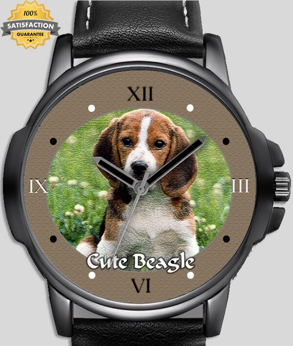 Are Beagles Fast