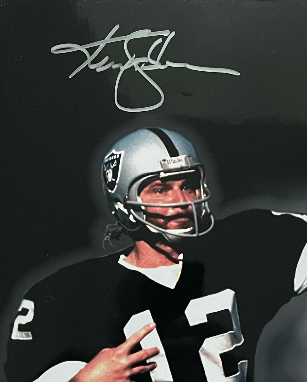Ken Stabler Fred Biletnikoff Raiders Hand Signed Auto 16x20 - PSA | eBay