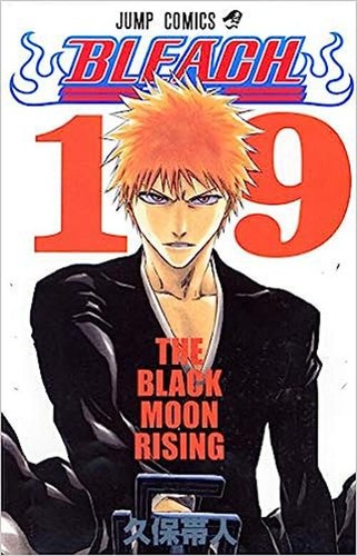 BLEACH Vol.19 manga Japanese version | eBay
