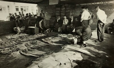 RPPC Fish Auction Whitby England UK North Yorkshire Great Britain | eBay