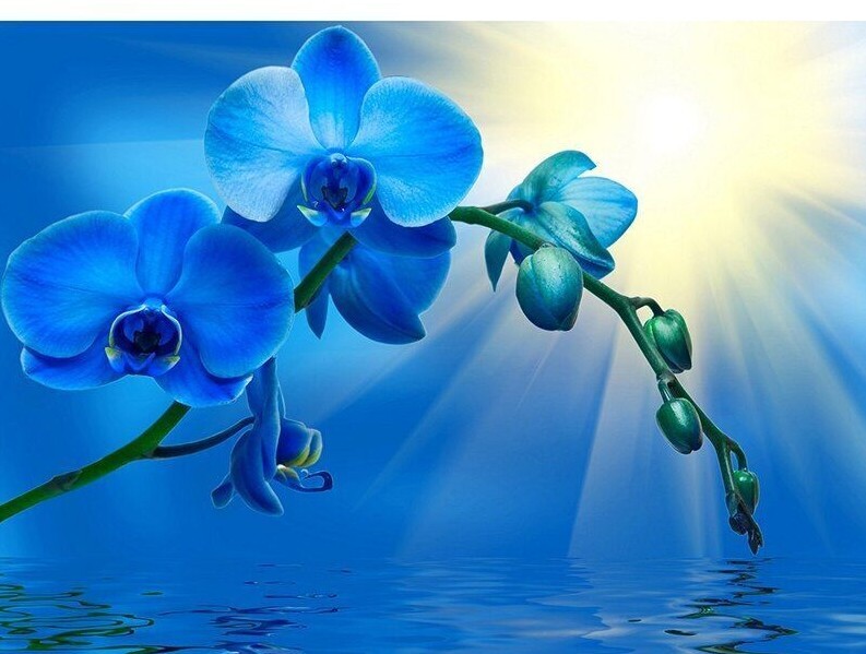Blue Orchid Painting