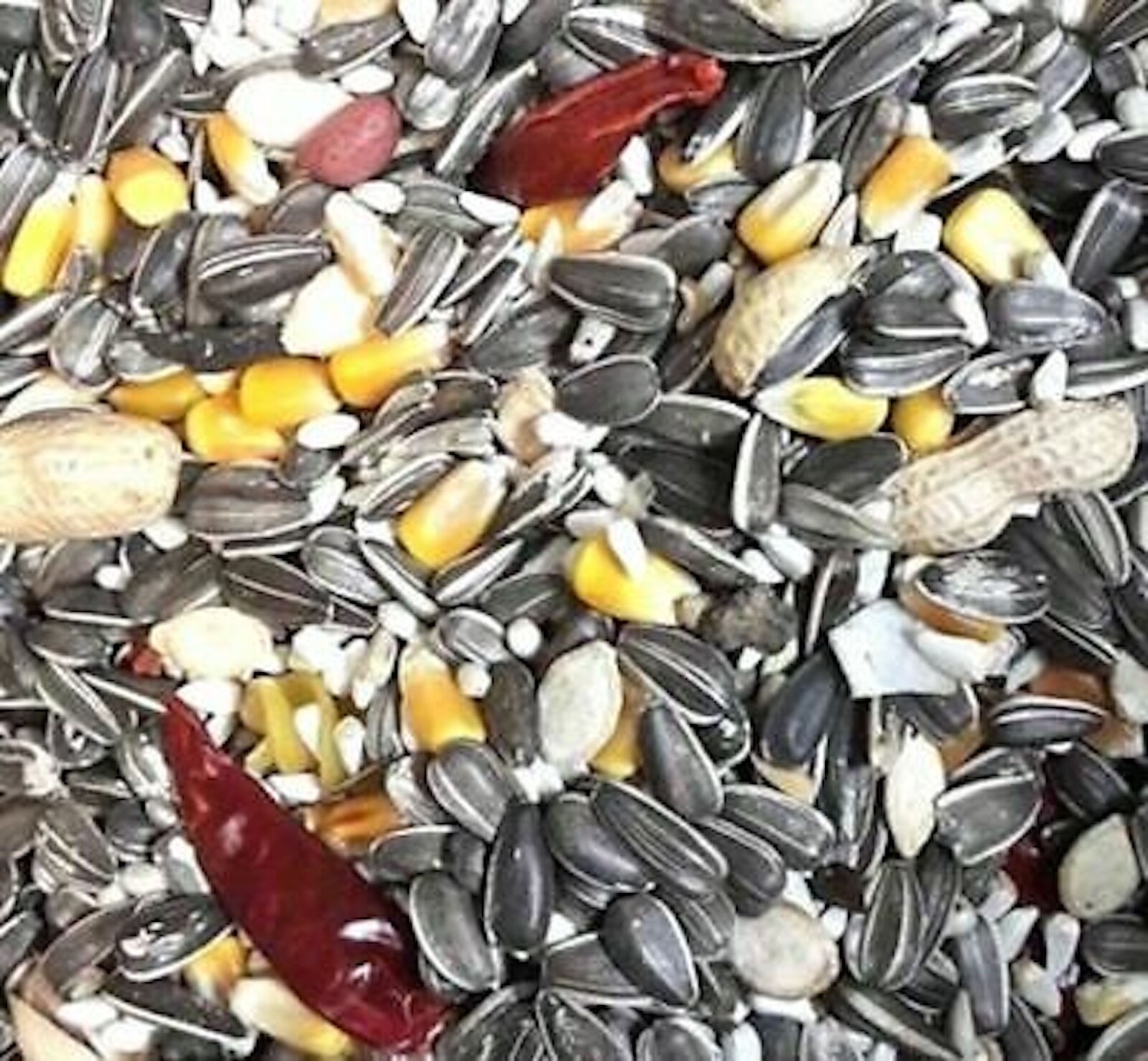 Medium & Large Hookbill Cuisine PARROT Food Mix Cockatoo African Grey ...