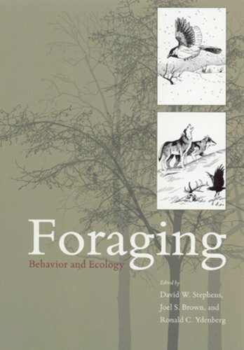 Foraging: Behavior and Ecology by David W Stephens: New 9780226772646| eBay