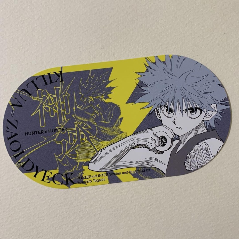 Hunter X Hunter Killua Cut Card - Reinforced OPP, Used Condition | eBay