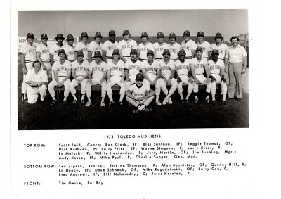 ORIGINAL 1975 TOLEDO MUD HENS 8X10 TEAM PHOTO BASEBALL OHIO | eBay