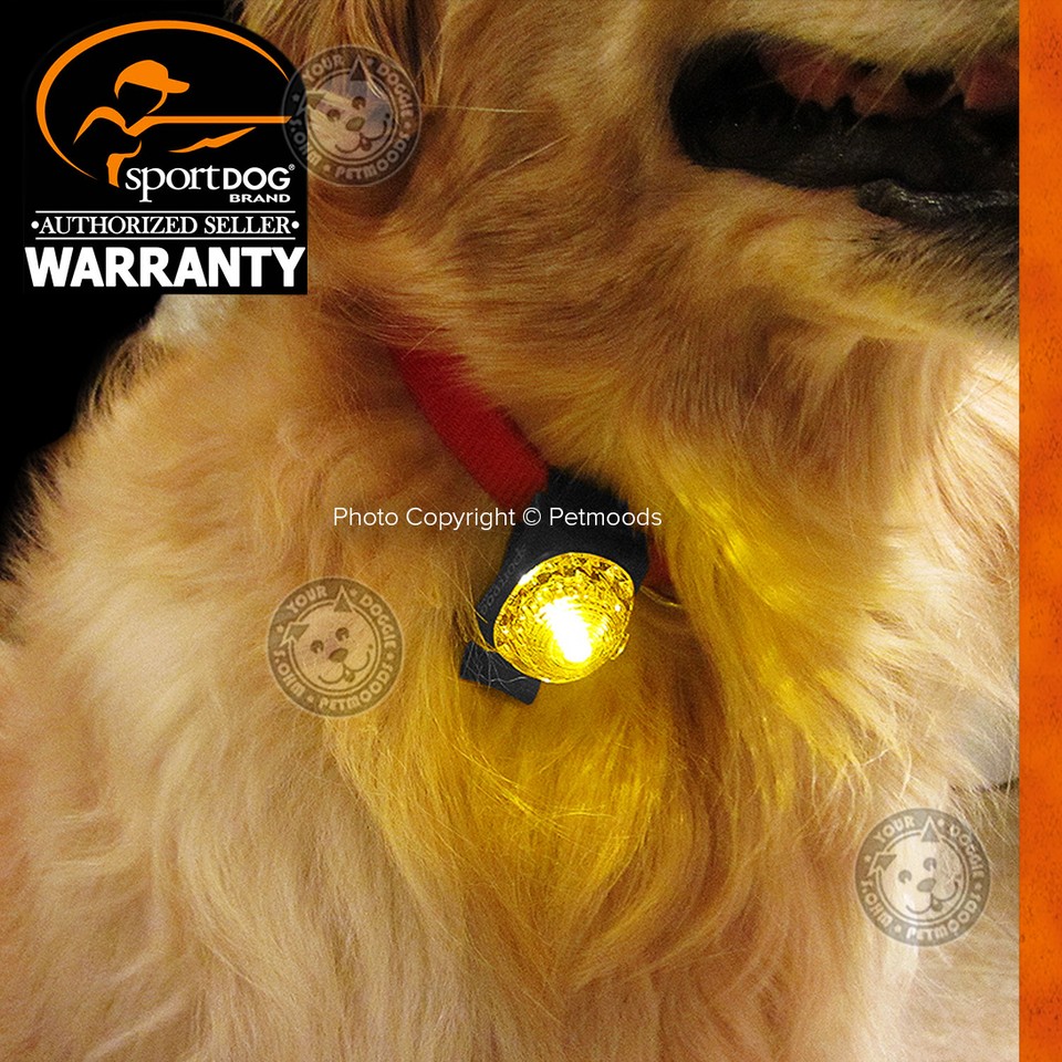 SportDOG Locator Safety Beacon Green Dog Collar Light Walking Hunting ...
